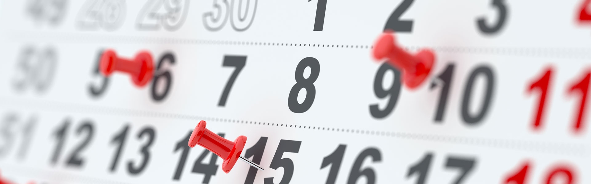 Applications, Drawings, And Bonus Points | Montana FWP